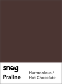 Color Comparison – Snag US